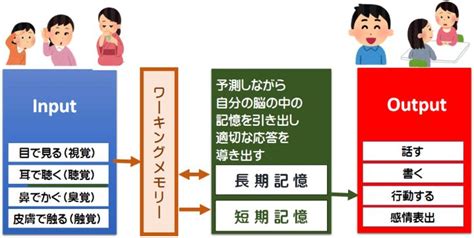 認知特性 認知機能の見える化プロジェクト Bar Chart Chart Visualizations