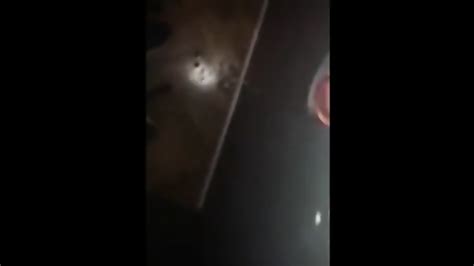 Me And A Buddy Feed A Glory Hole Mouth A Couple Of Loads Eporner