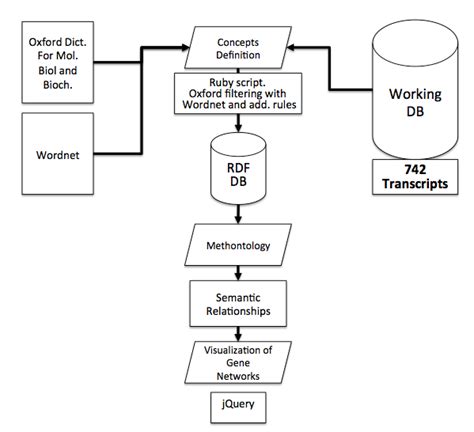 Workflow Followed To Build Up And Visualize A Network Of Transcript