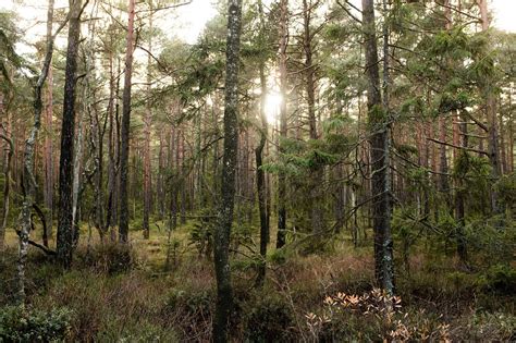 What Is Github What Is Git And How To Use These Developer Tools