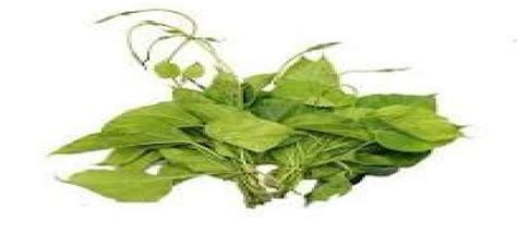 ကန့်ဘလူမြို့မဈေးတွင် ရောင်းချနေသော ရာသီစာ ဂွေးတောက်ရွက်ဈေးနှုန်း Consumer