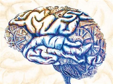 Nc Talks “tuning Pathological Oscillations In Brain Disorders Real Time Training Of Eeg