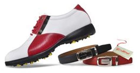 골프를 배우자 잔디로 컬러 골프화