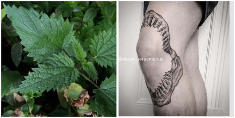 Wrist Nettle Tattoos Wrist Ink