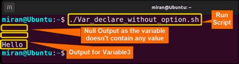 How To Declare Variable In Bash Scripts Practical Cases Linuxsimply