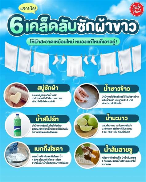 🧺 6 เคล็ดลับซักผ้าขาว ให้สะอาดเหมือนใหม่ มีอะไรบ้างมาดูเลย🥰 Gallery
