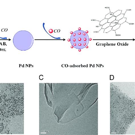 A Schematic Illustration For The Preparation Of Pd Nanoparticles