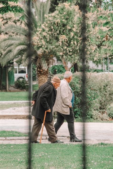 걷고 있는 공원 남자 노인 도시 도시들 레저 레크리에이션 산책 수직 쐈어에 관한 무료 스톡 사진
