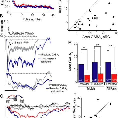 Feedforward Inhibition Gates The Gamma Oscillation Download Scientific Diagram