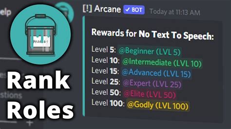 how to setup arcane bot leveling youtube