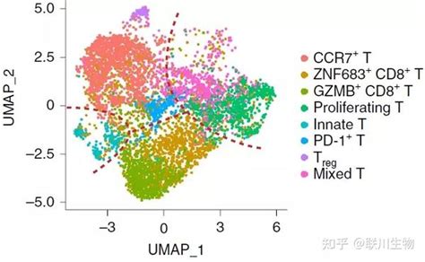 手把手教您单细胞测序后如何做细胞类型定义 单细胞专题 知乎