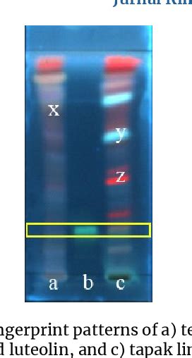 Figure 1 From Thin Layer Chromatography Fingerprint Analysis Of Tempuyung Sonchus Arvensis L