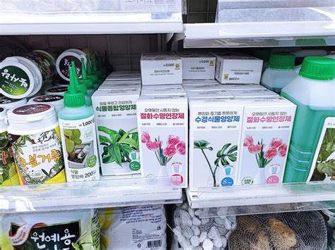 다이소 식물영양제 수경재배 화초영양제 알비료 원예용품 추천템 네이버 블로그