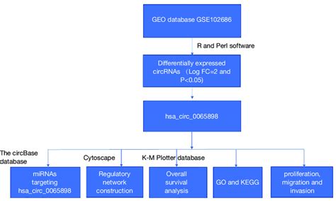 The Flow Diagram Of This Work Download Scientific Diagram
