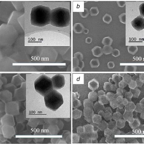 SEM Images Of A ZIF DA B ZIF C S C ZIF CTAB D Download Scientific Diagram