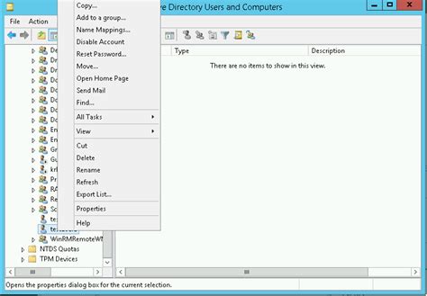 Create Active Directory With Aws Windows Server And Add Custom