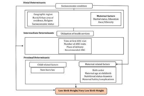 Conceptual Hierarchy Based Model Ancantenatal Care Used To Analyze