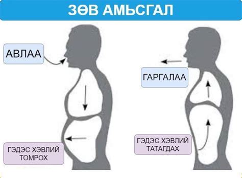 Эрүүл Зөв амьсгалж сурснаар дараах өвчнүүдийг эмгүйгээр анагааж болно Зөв амьсгалж сурах нь