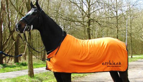 Must Read Gastblogger Voor Epplejeck Winactie Ecohippique