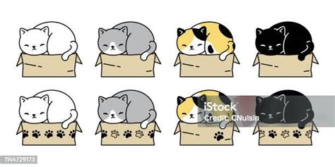 고양이 벡터 아이콘 새끼 고양이 상자 옥 양 목 로고 캐릭터 만화 생강 기호 그림 고양이 새끼에 대한 스톡 벡터 아트 및 기타 이미지 고양이 새끼 고양이 울음소리 곰