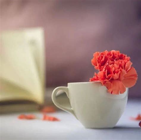 从小白到进阶 10个适合数据人练手的kaggle数据集变量预测乘客