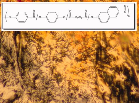 Novel Thermotropic Esters‐based Polymers With Broad Nematic Processing Windows De Ruijter