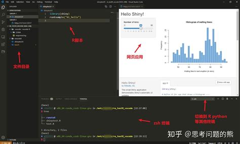 使用 VSCode 愉快地进行 R 远程开发 知乎 使用 VSCode 愉快地进行 R 远程开发 知乎