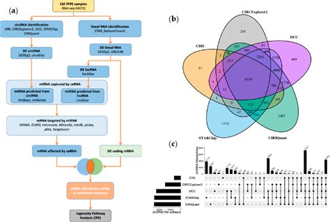 Figure 1 From Association Of Circular Rna And Long Non Coding Rna Dysregulation With The