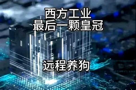 西方工业最后一颗皇冠 雪球