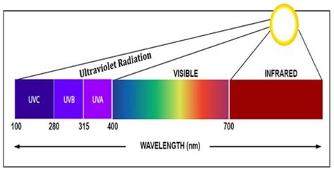 About Ultraviolet Radiation Assignment Point