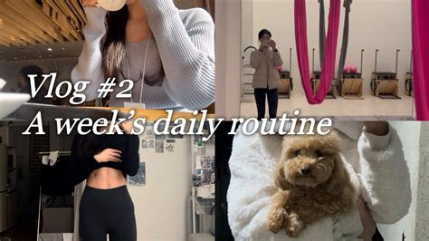 Vlog 직장인 브이로그 일주일 루틴 복근만들기 플라잉요가 다이어트 레시피 약간의 룩북 찬송이는 귀여워🐶🤎 Youtube