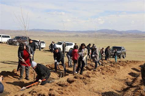 ФОТО Хогийн цэг байсан 8 га газарт төгөл байгуулах ажлыг эхлүүллээ