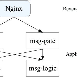 Nginx Reverse Proxy In Reverse Proxy Layer Download Scientific Diagram