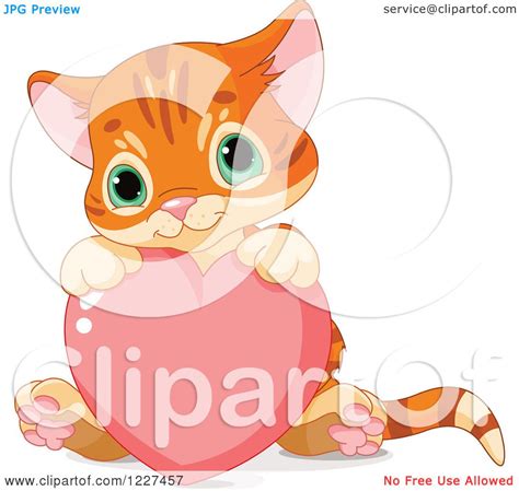 Clipart Of A Cute Tabby Ginger Kitten Sitting With A Valentine Heart Royalty Free Vector