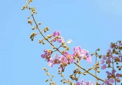 与中医有关的句子 推荐14句