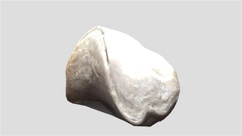 Usdz 3d Model By Fossilhunterturkiye 8d4da0d Sketchfab