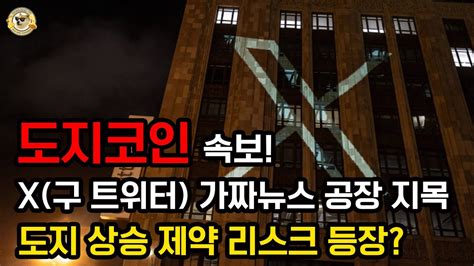 도지코인 상승 제약 걸린다 X구 트위터 가짜뉴스 발원지 지목 Youtube