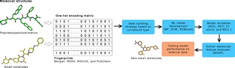 Schematic Summary Of The Workflow Illustrating The Course Of The Study Download Scientific Diagram