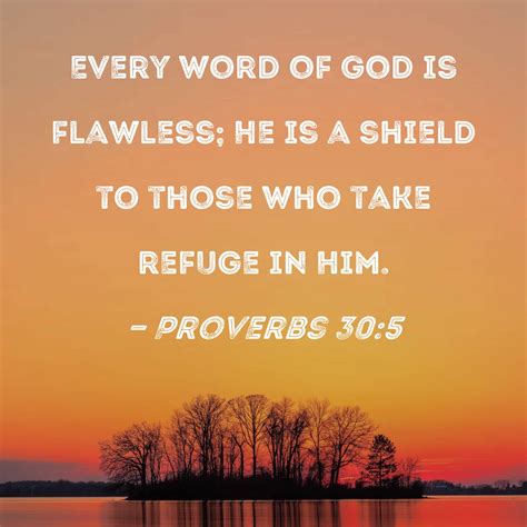 Proverbs 30 5 Every Word Of God Is Flawless He Is A Shield To Those Who Take Refuge In Him