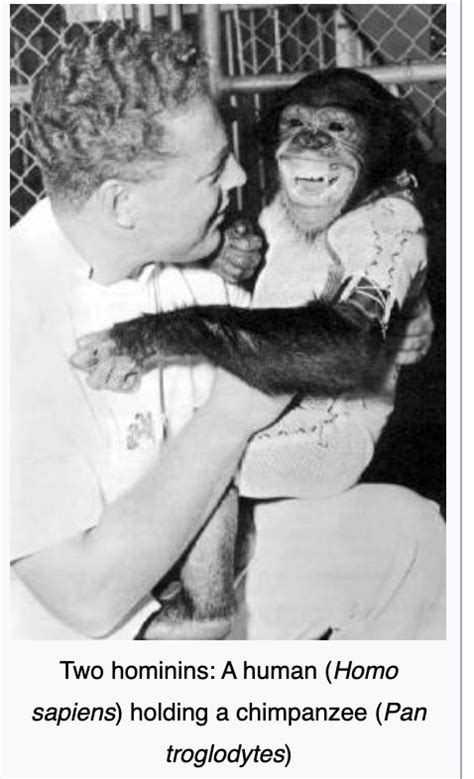 우리는 판의 활동이 낳은 자식이다