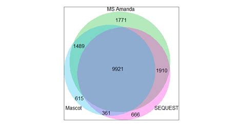 Ms Amanda A Universal Identification Algorithm Optimized 47 Off