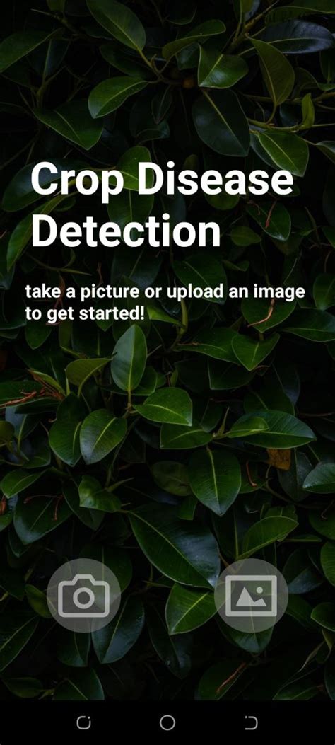 GitHub Ziegler CropDiseaseDetection Developed A Mobile Application To Detect Crop Diseases