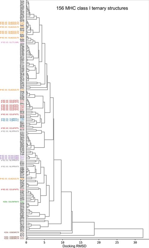 Figures And Data In Structure Based Prediction Of T Cell Receptor Peptide MHC Interactions ELife