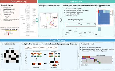Workflow Of DriverGenePathway Package Download Scientific Diagram
