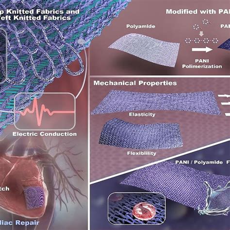 Highly Conductive Elastic Knitted Patch By Pani In Situ Polymerization Download Scientific