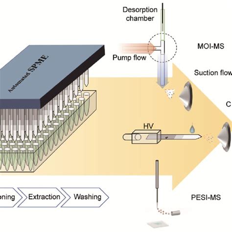 Schematic Of Solid Phase Microextraction Spme Devices Spme Download Scientific Diagram