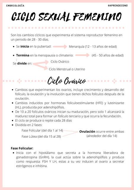 CICLO SEXUAL FEMENINO Aprendecong Obste UDocz