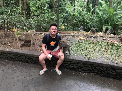 Cheeky Monkey Scrolller