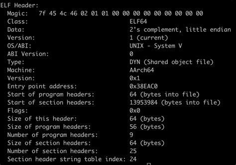 Elf 64 格式详解 腾讯云开发者社区 腾讯云