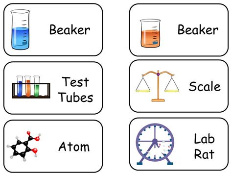 Download And Print Your Own Science Flash Cards By Teachatdaycare